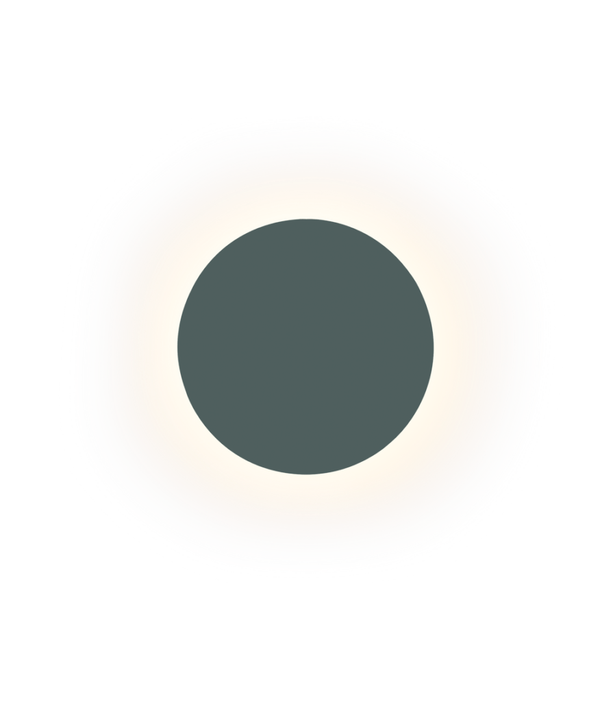 Ceto Wall Light | Ross Gardam